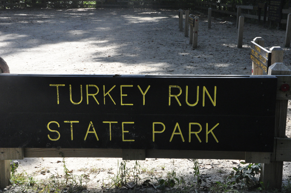 Turkey Run State Park - Roadtrip.DK